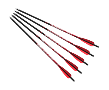 Hyperflite™ 22" Arrow - 5 Pack – Barnett Outdoors
