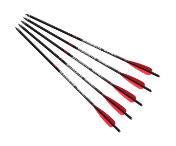 Hyperflite™ 22" Arrow - 5 Pack – Barnett Outdoors