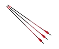 Hyperflite™ 20" Arrow - 3 Pack – Barnett Outdoors