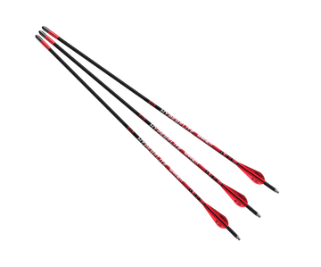 Hyperflite™ 20" Arrow - 3 Pack – Barnett Outdoors